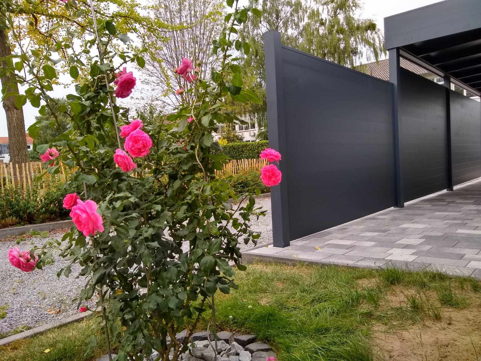 Grillo Panels - Alexandre LTD